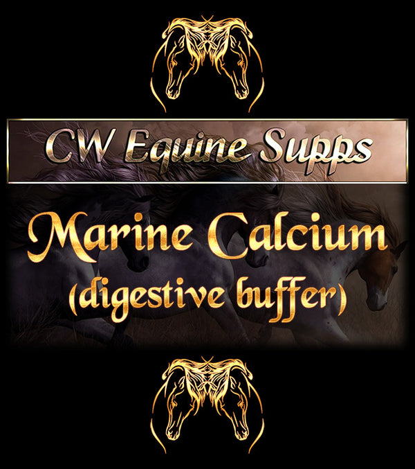 Marine Calcium (digestive buffer) – CWEquineSupps