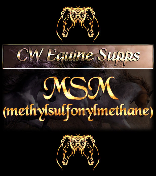 MSM (Anti-inflammatory & Pain relief) – CWEquineSupps